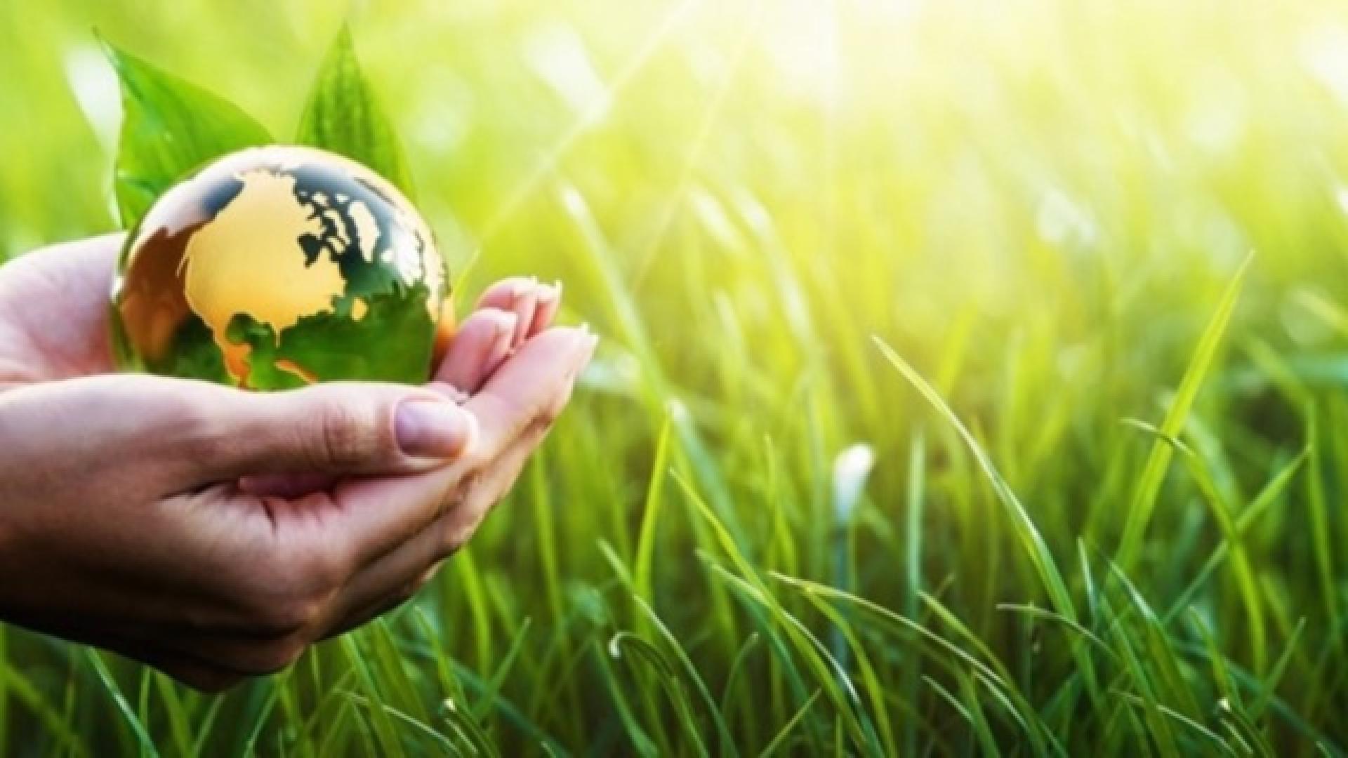 50 Documentary Logline Examples - Logline Examples of Award Winning ...