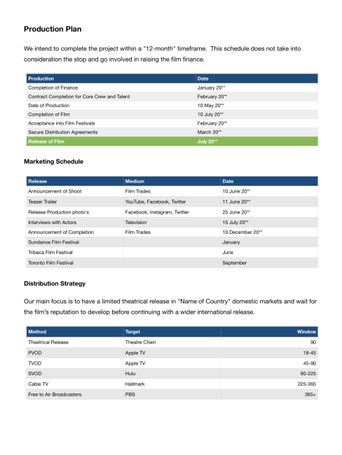 Film Business Plan - Present Financial Documents to Investors - 2025