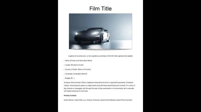 Film Business Plan - Present Financial Documents to Investors - 2024