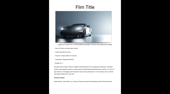 Film Proposal Template - How to Fund your Film - 2024