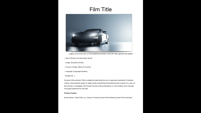 Film Proposal Template - How to Fund your Film - 2025